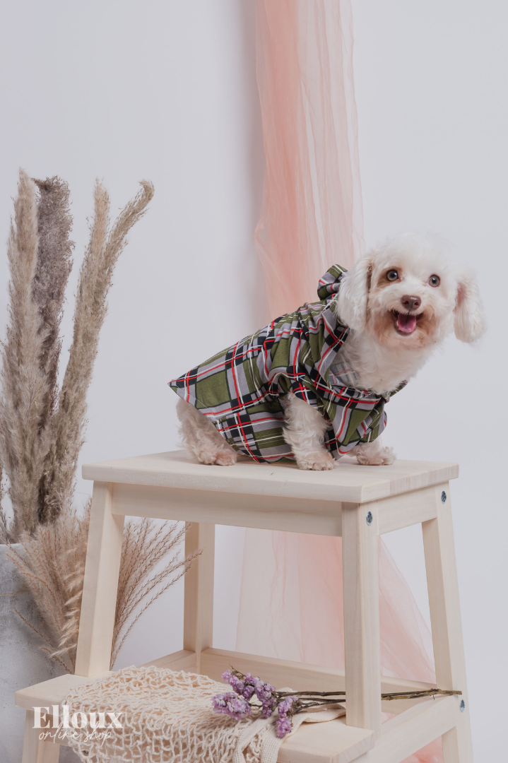 Green Checkered FurBaby Hoodie – Elloux Clothing